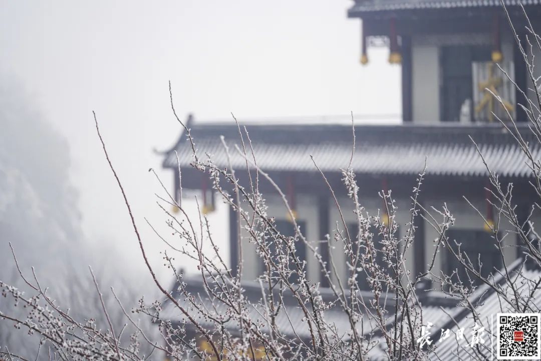 风险预警！武汉又将下雪…… - 武汉市人民政府门户网站